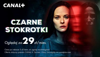 Filmy o komandosach: zobacz najlepsze z nich! | CANAL+ blog